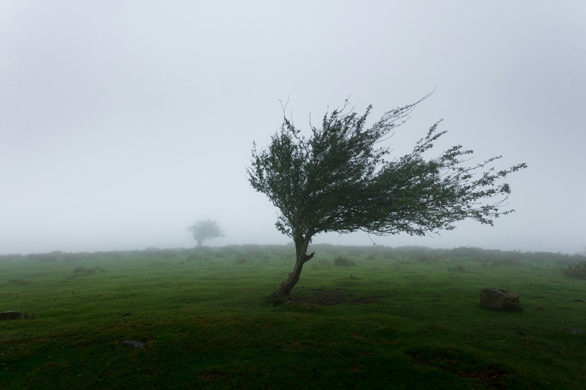 Auvergne-Rhône-Alpes : vent jusqu'à 90 km/h ce mercredi