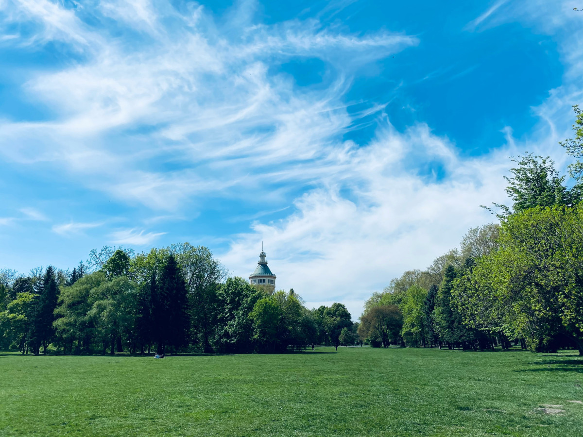 Météo Île-de-France : dimanche doux avec soleil et vent modéré