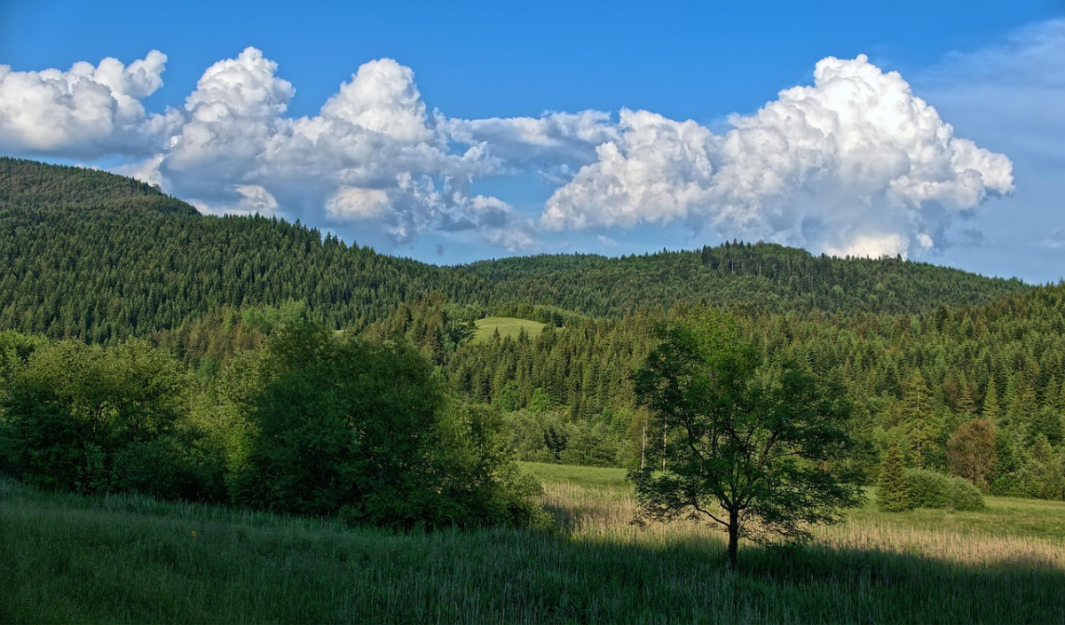 Canicule : températures extrêmes en Auvergne Rhône-Alpes ce jeudi