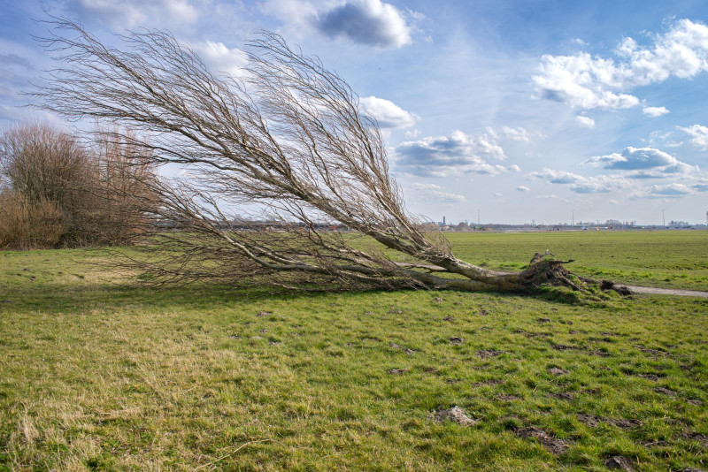 Météo Bourgogne-Franche-Comté : la semaine s’annonce instable et venteuse
