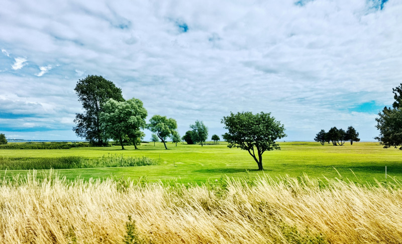 Météo Grand Est dimanche 31 mai : chaleur et vent soutenu